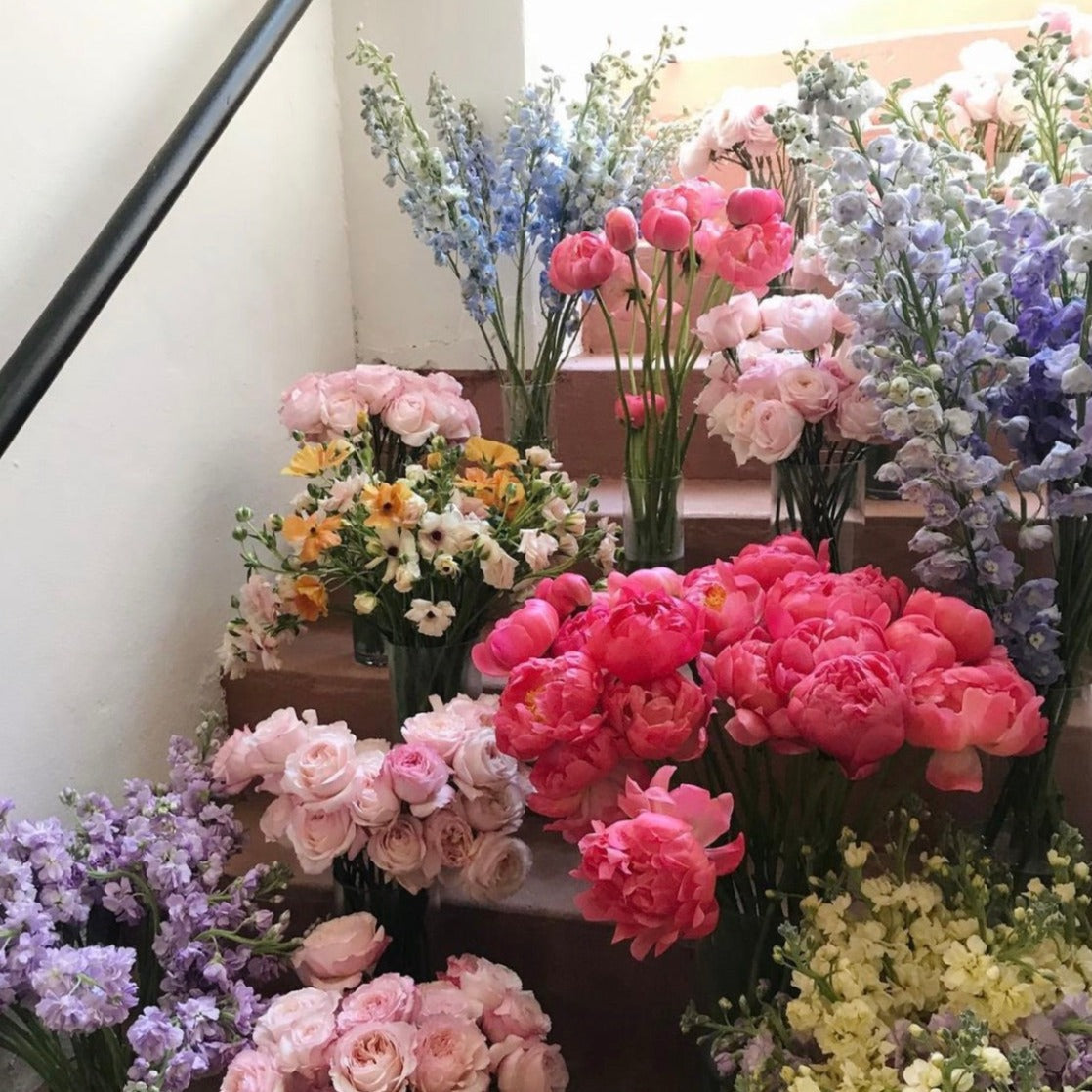 Meus Floral - Fayetteville, Arkansas Flower Delivery