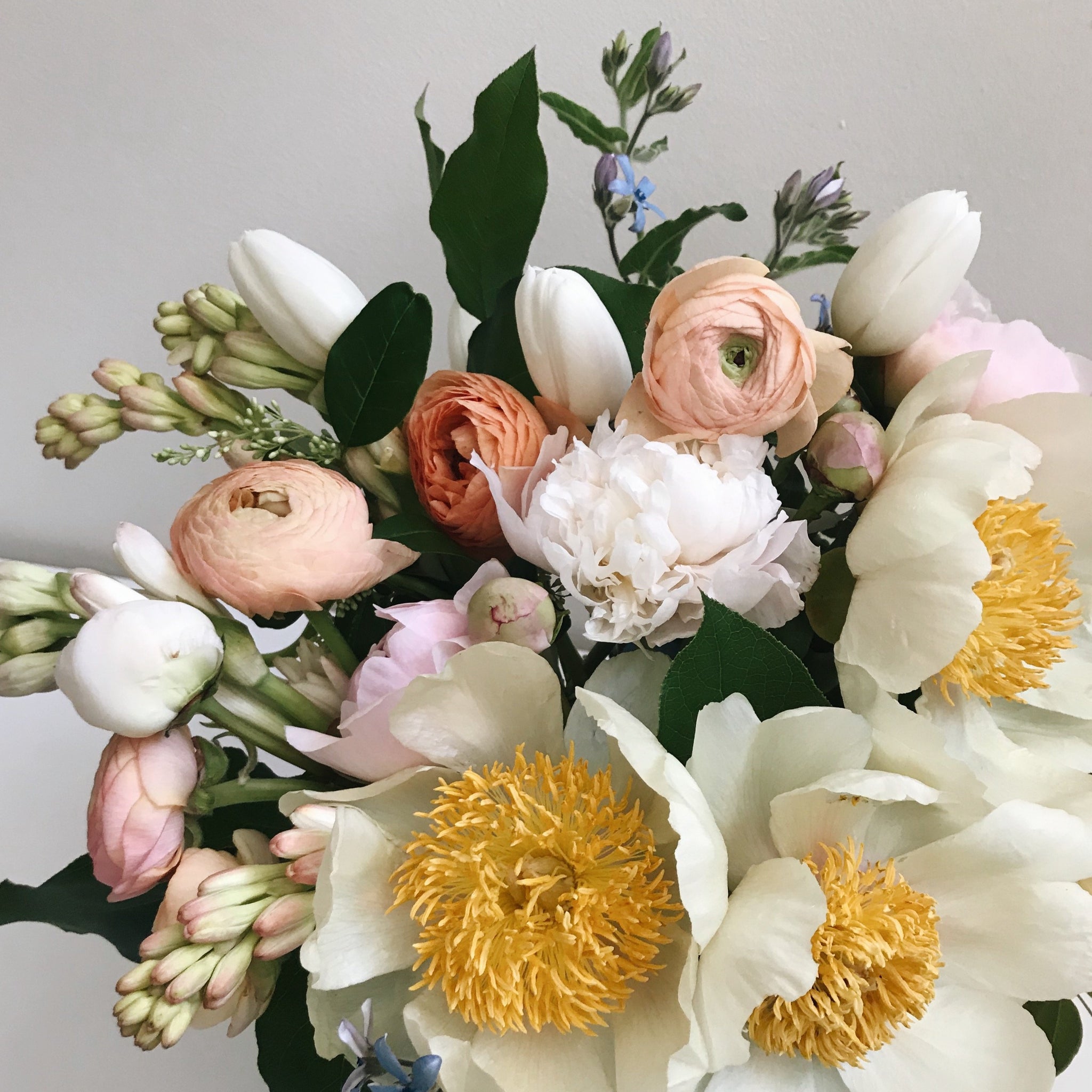 Meus Floral - Fayetteville, Arkansas Flower Delivery